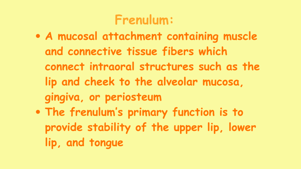 Tongue-Tie and Lip-Tie in Infants: A Compassionate, Evidence-Based ...